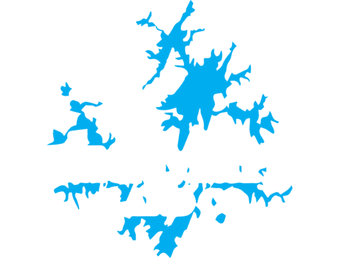 Discover Longleaf Ridge - Lake Martin Land Co.